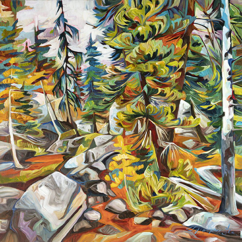 Lakeside Trees - Julia Veenstra